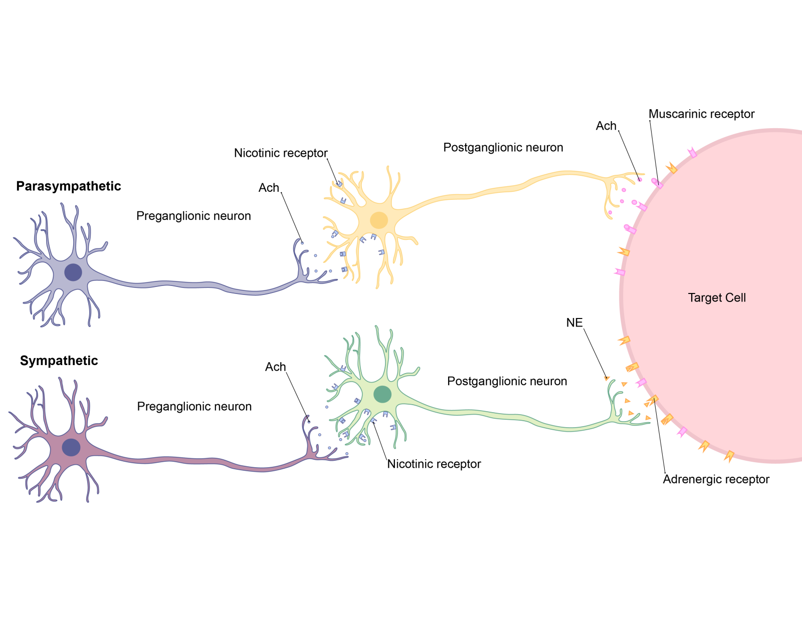 Open Science - Image Gallery