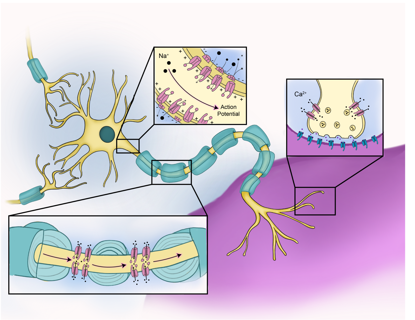 Open Science - Image Gallery