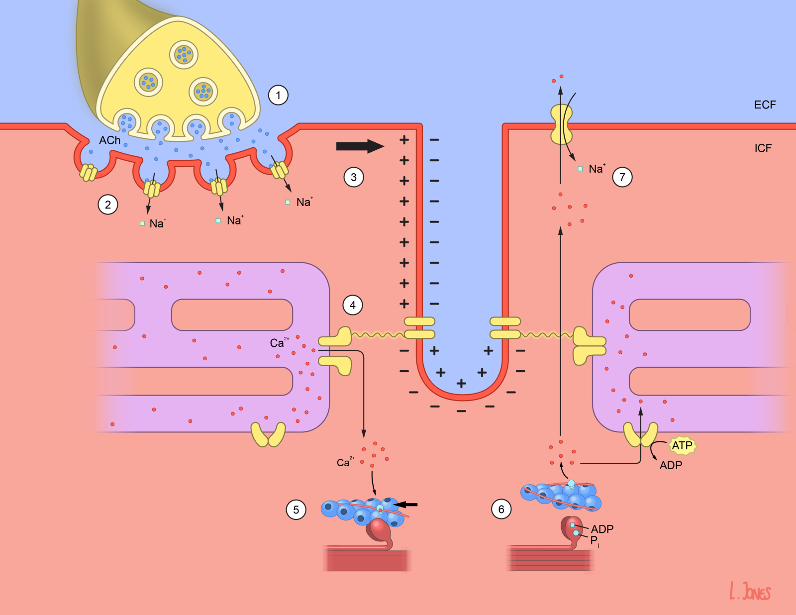 Open Science - Image Gallery